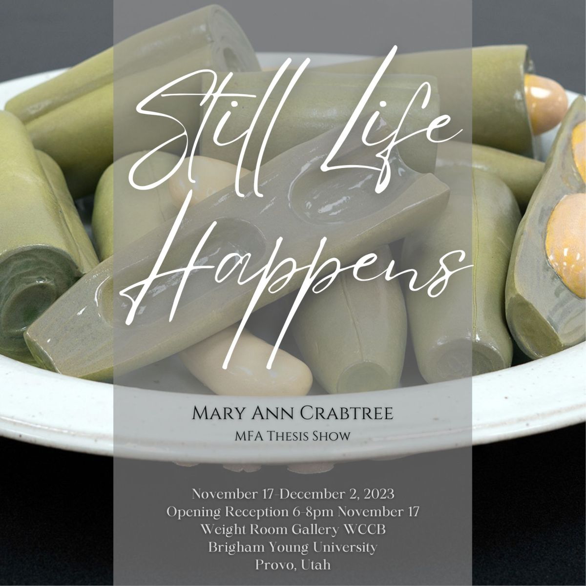MFA Show – Mary Ann Crabtree